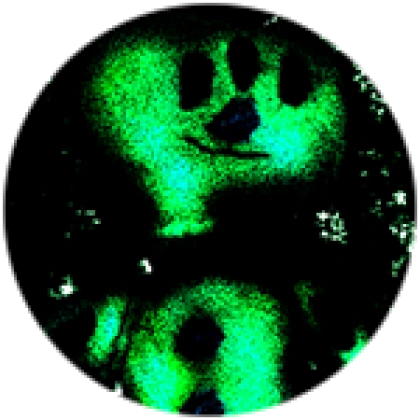 In The Matrix | BEAR ALT Wiki | Fandom