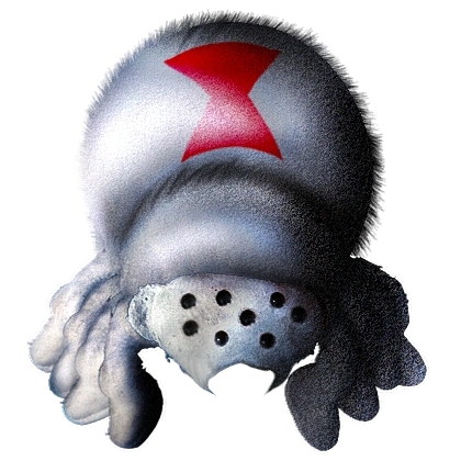 Spider Bear | BEAR ALT Wiki | Fandom