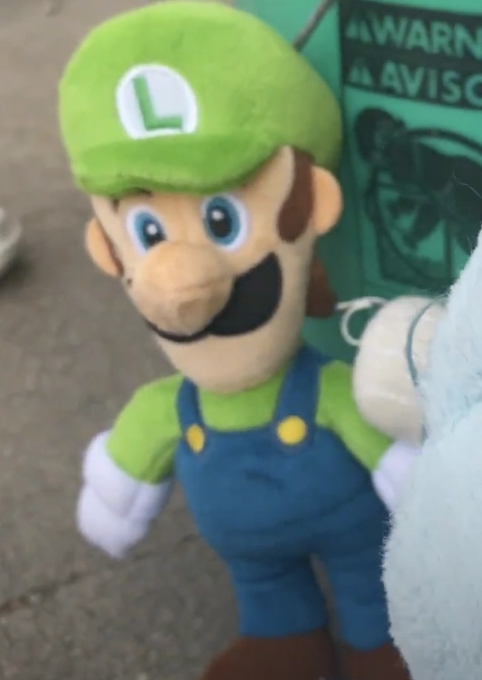 Luigi | Bear and Friends Wiki | Fandom