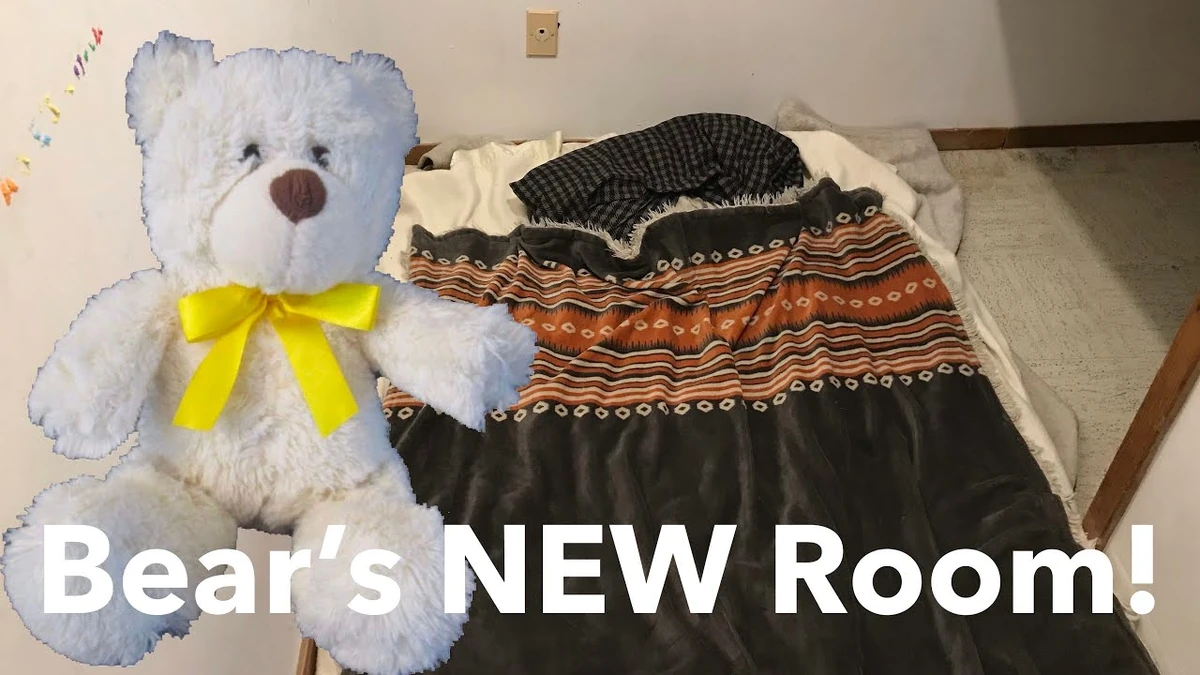 Bear’s NEW Room! | Bear and Friends Wiki | Fandom
