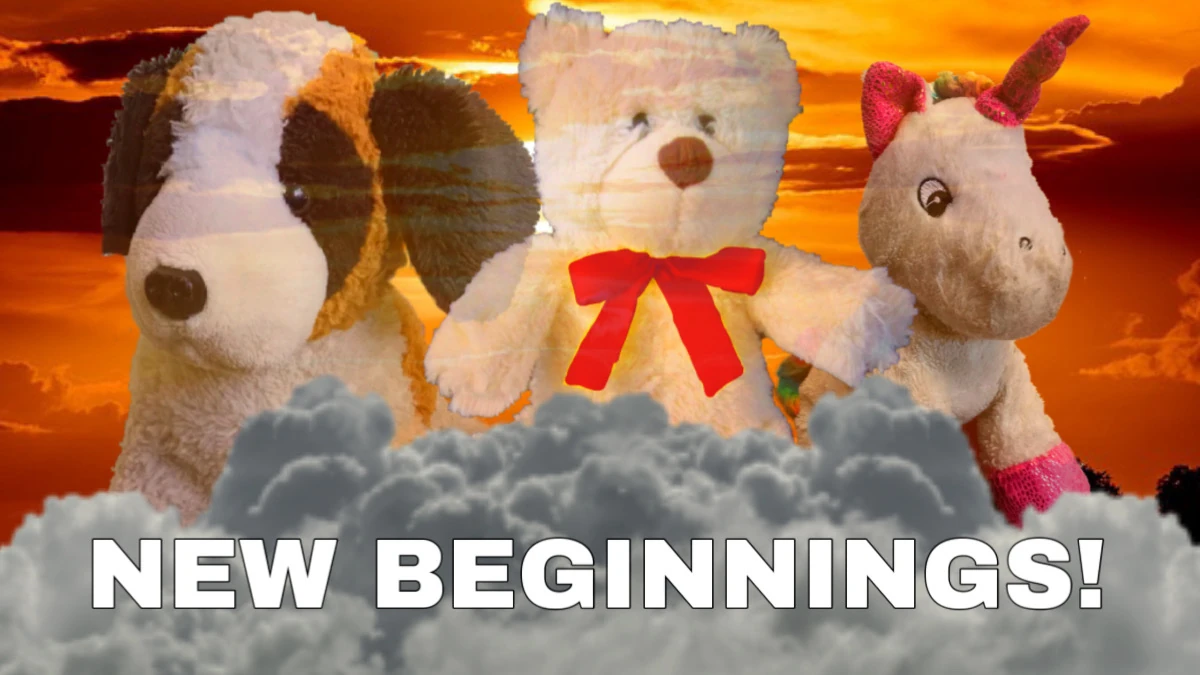 New Beginnings! | Bear and Friends Wiki | Fandom