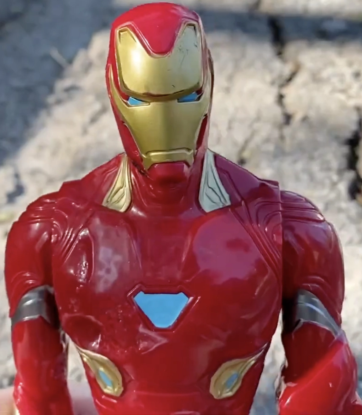 Steve | Bear and Friends Wiki | Fandom