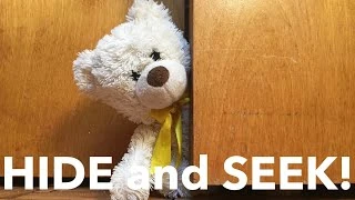Hide and Seek! | Bear and Friends Wiki | Fandom