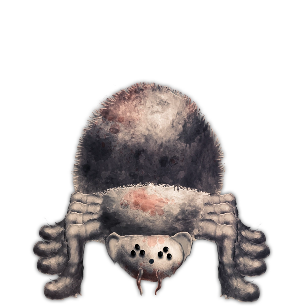 Spider | BEAR APOSTROPHE Wiki | Fandom