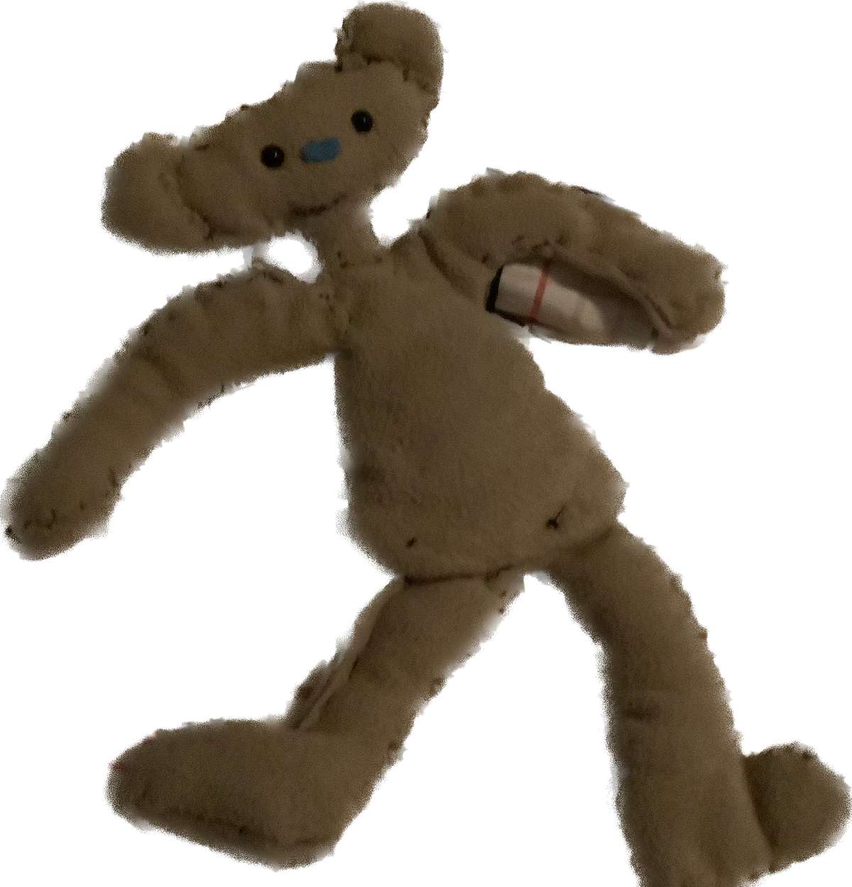 A Main Character | Bear Fan-Made Wiki | Fandom