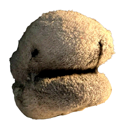 Whitey | BEAR LUXURY Wiki | Fandom