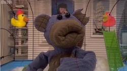 Nev | Bear Behaving Badly Wiki | Fandom