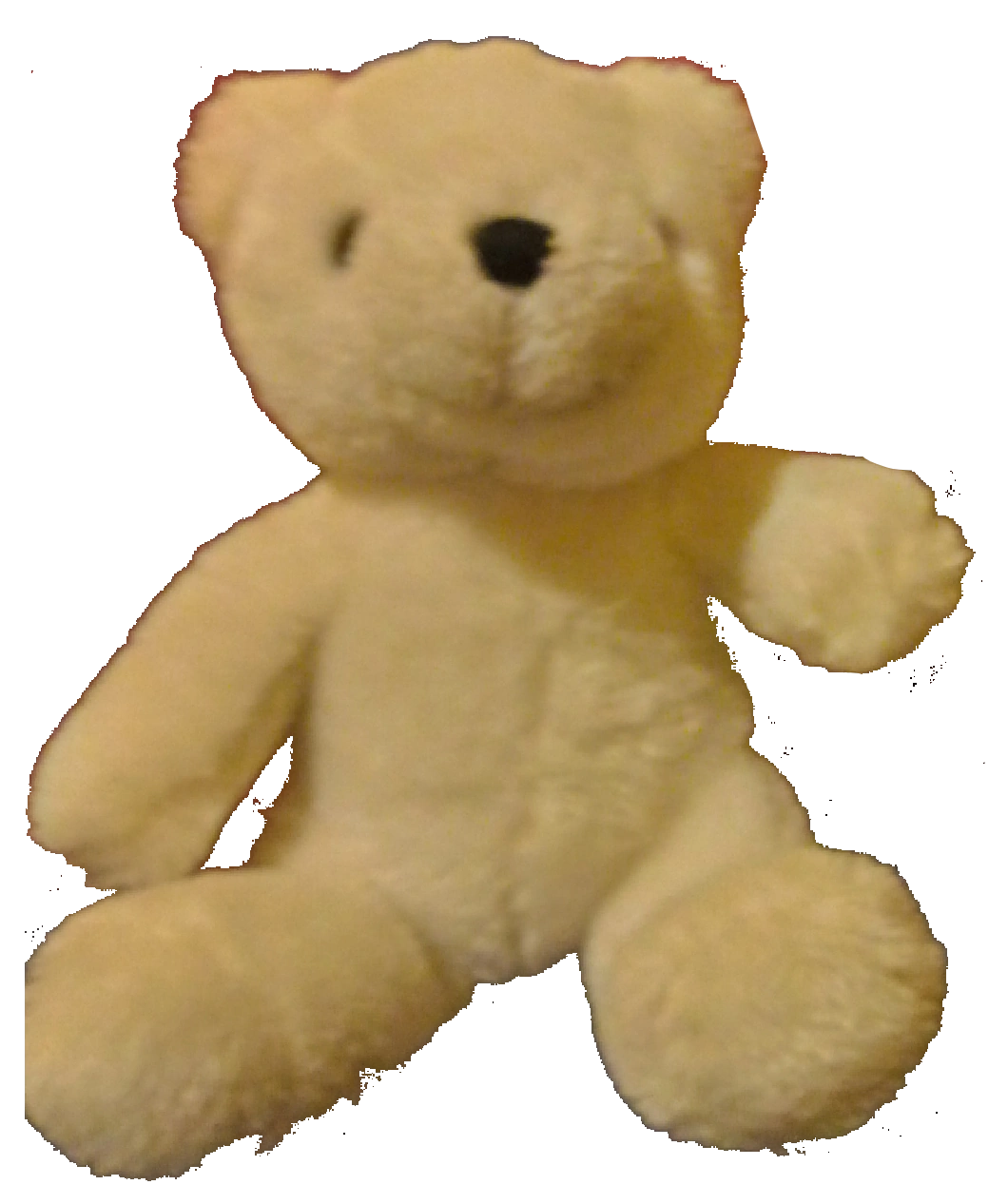 Sam | BEARY Wiki | Fandom