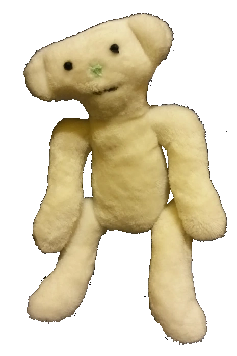 BEARY | BEARY Wiki | Fandom