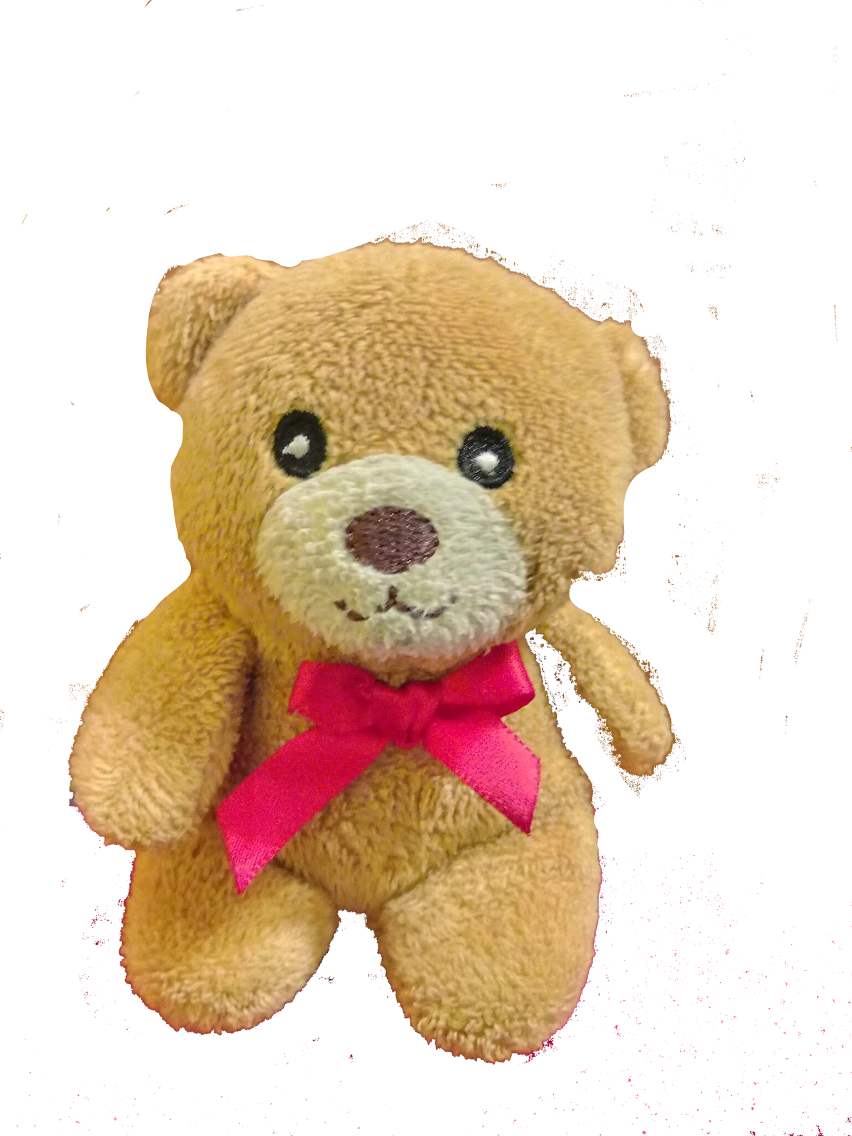 BEARY Jr | BEARY Wiki | Fandom