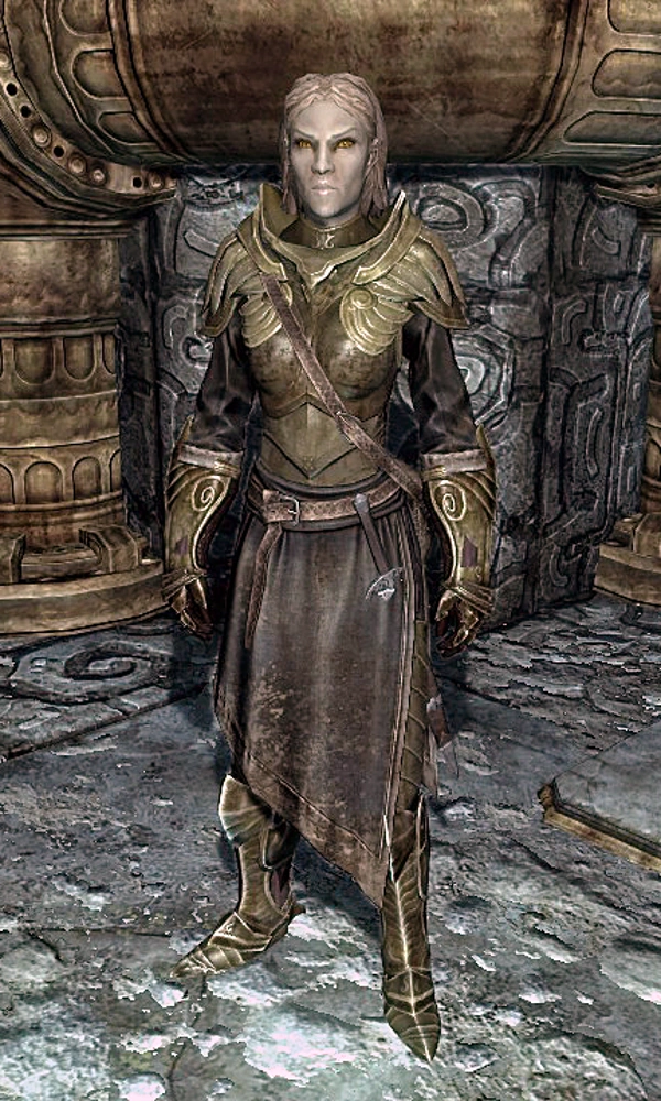 Category:Skyrim: Wyrmstooth Followers | Apexpedia | Fandom