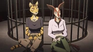 Luna (Beastars)/Image Gallery | Beastars Wiki | Fandom