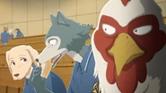 Legom/Image Gallery | Beastars Wiki | Fandom
