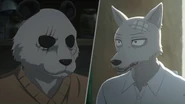 Gohin/Image Gallery | Beastars Wiki | Fandom