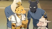 Tao/Image Gallery | Beastars Wiki | Fandom