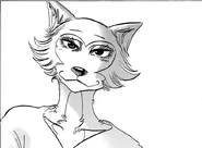 Leano/Image Gallery | Beastars Wiki | Fandom