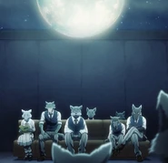 Biology Day | Beastars Wiki | Fandom