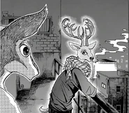 Cosmo/Image Gallery | Beastars Wiki | Fandom