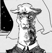 Tem/Image Gallery | Beastars Wiki | Fandom