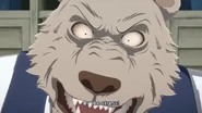 Riz/Image Gallery | Beastars Wiki | Fandom