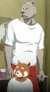 Riz/Image Gallery | Beastars Wiki | Fandom
