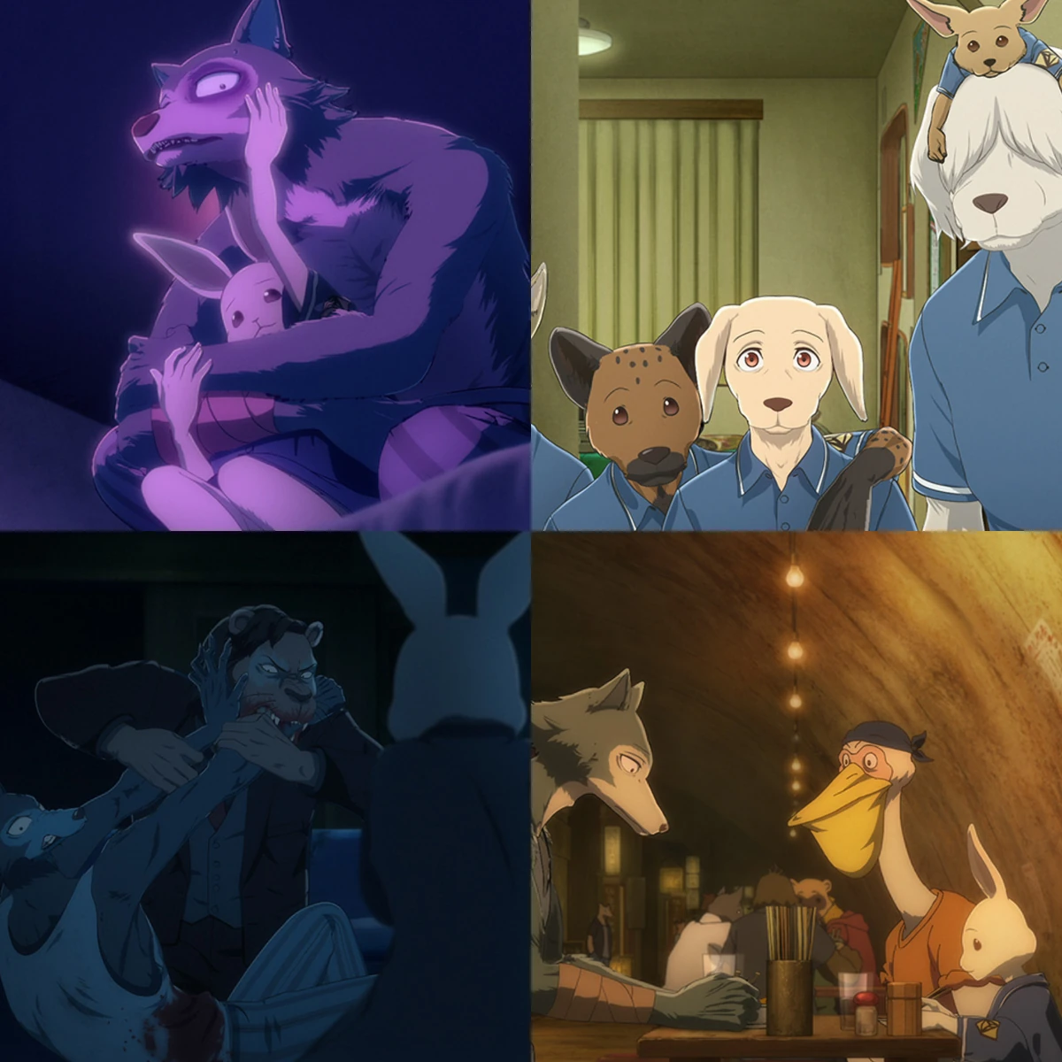 Episode 11 | Beastars Wiki | Fandom