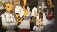 Sheila/Image Gallery | Beastars Wiki | Fandom