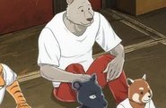 Riz/Image Gallery | Beastars Wiki | Fandom