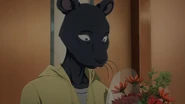 Tao/Image Gallery | Beastars Wiki | Fandom