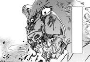 Riz/Image Gallery | Beastars Wiki | Fandom