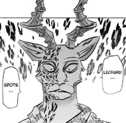 Melon/Image Gallery | Beastars Wiki | Fandom