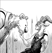 Riz/Image Gallery | Beastars Wiki | Fandom