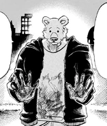 Riz/Image Gallery | Beastars Wiki | Fandom