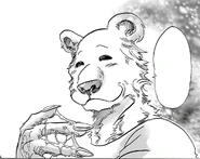 Riz/Image Gallery | Beastars Wiki | Fandom
