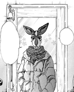 Cosmo/Image Gallery | Beastars Wiki | Fandom