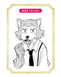 Beastars (Anime) | Beastars Wiki | Fandom
