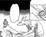 Meg/Image Gallery | Beastars Wiki | Fandom