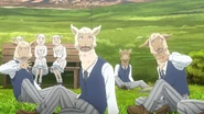Carl/Image Gallery | Beastars Wiki | Fandom