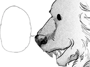 Riz/Image Gallery | Beastars Wiki | Fandom