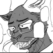 Gil/Image Gallery | Beastars Wiki | Fandom