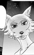Leano/Image Gallery | Beastars Wiki | Fandom