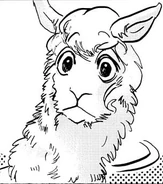 Tem/Image Gallery | Beastars Wiki | Fandom
