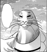 Sagwan/Image Gallery | Beastars Wiki | Fandom