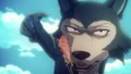 List of Episodes | Beastars Wiki | Fandom