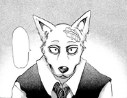 Legoshi/Image Gallery | Beastars Wiki | Fandom