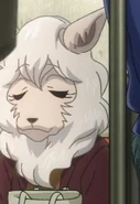 Seven/Image Gallery | Beastars Wiki | Fandom
