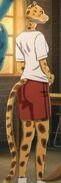 Cherryton Academy | Beastars Wiki | Fandom