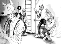Kibi | Beastars Wiki | Fandom