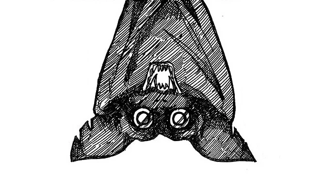 Azumo | Beastars Wiki | Fandom