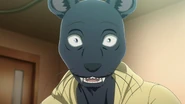 Tao | Beastars Wiki | Fandom